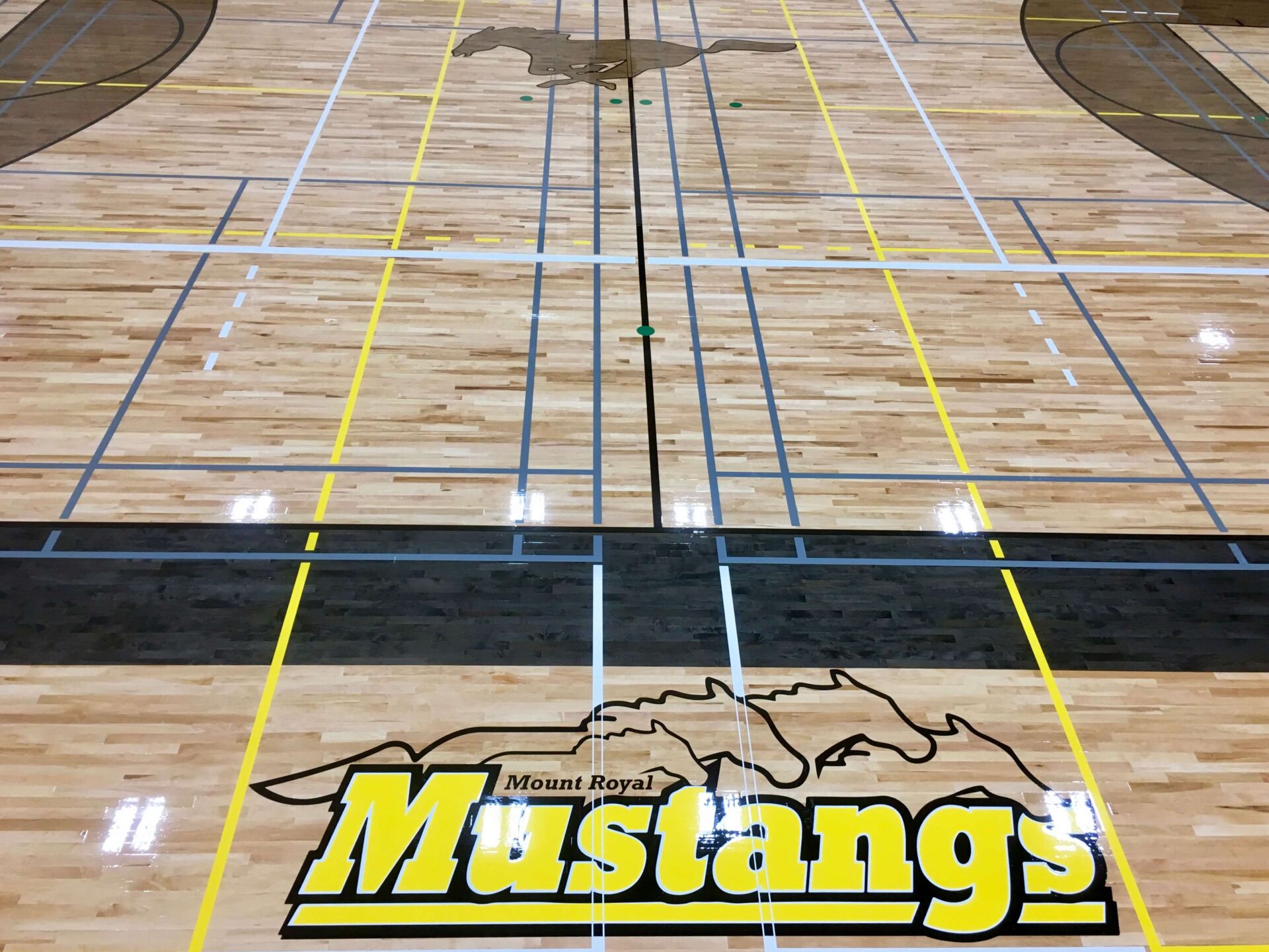 Mount Royal Collegiate Gym Flooring | Titan Sports Systems